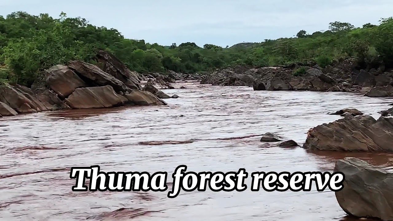 Lilongwe river through Thuma forest reserve | Cooking a rare vegetable ...