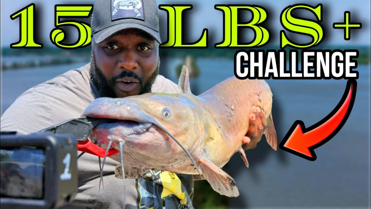 Trophy Channel Catfish Challenge - YouTube