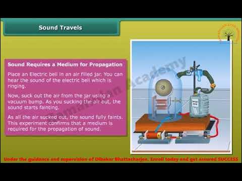 Class 8 | Chapter 13 | Sound | CBSE | Science - YouTube