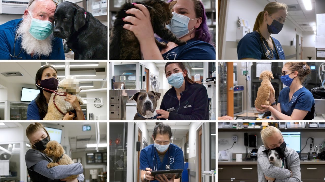 Happy Veterinary Technician Week to Vet Techs Everywhere! - YouTube