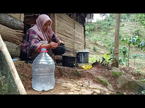 [FULL VIDEO] BERKEBUN TINGGAL DI GUBUK DALAM HUTAN