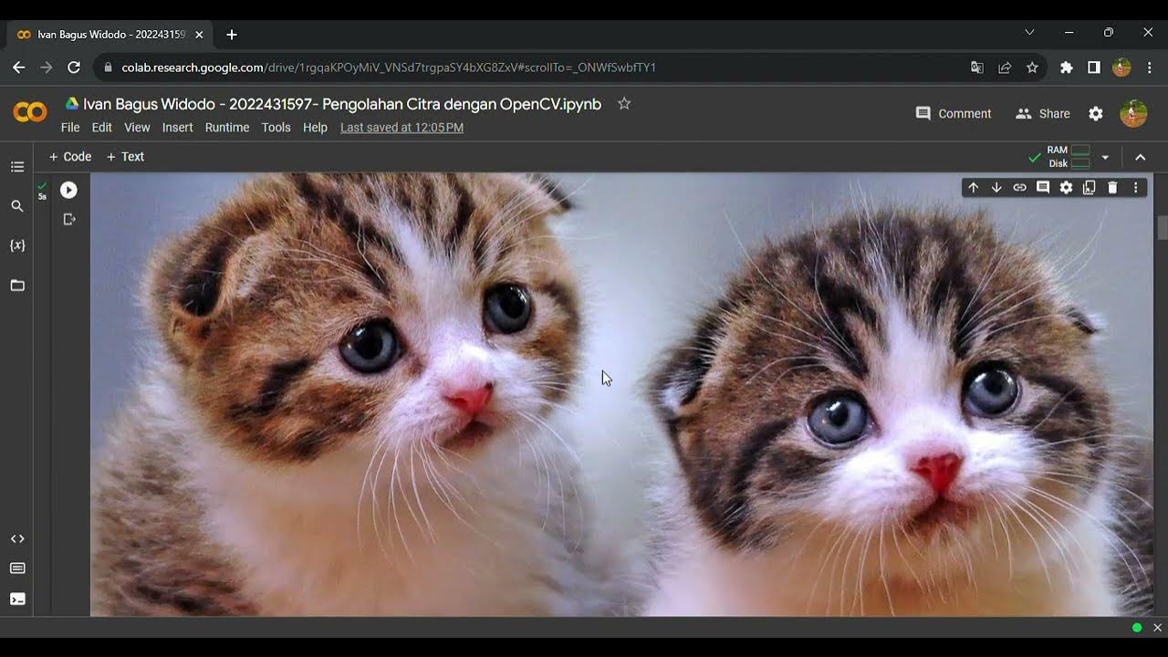 Project Akhir Image Processing Menggunakan Pyhton dengan Google Collab ...