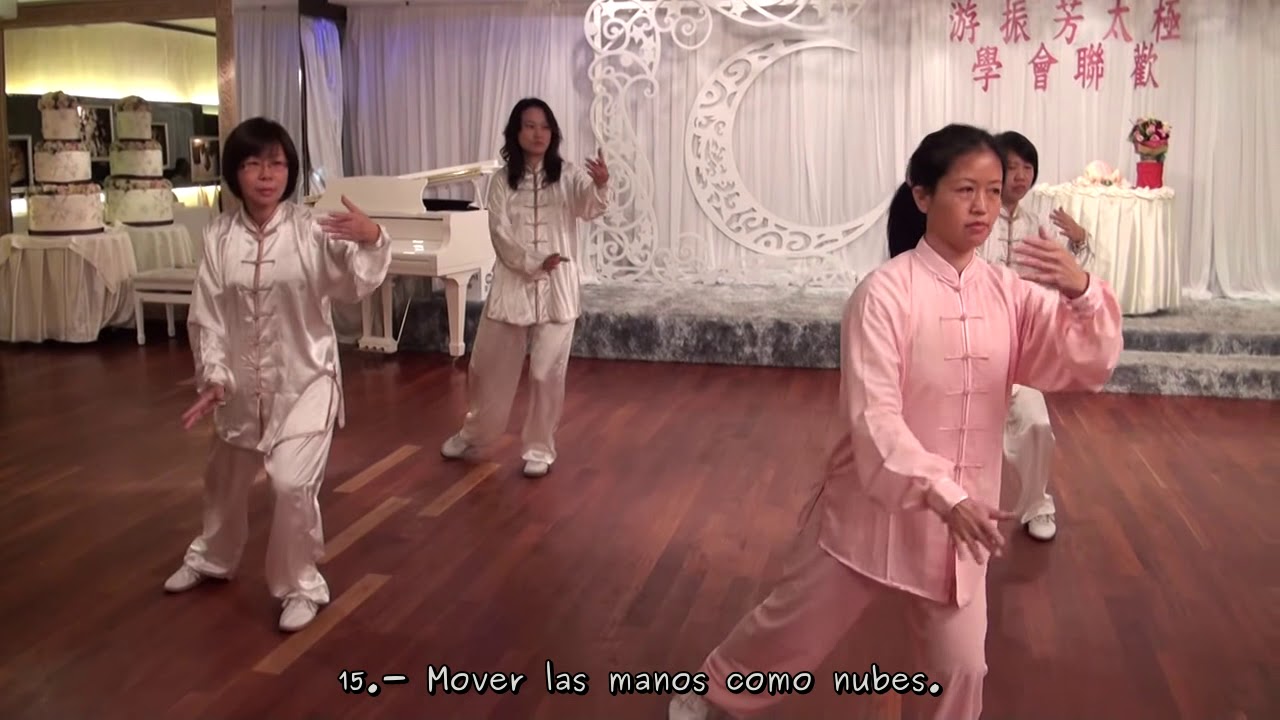 Tai chi 40 form yang style Fanny Ng YouTube - YouTube