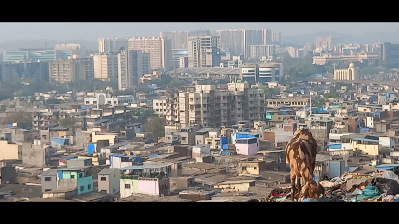 24 February 2023 - YouTube