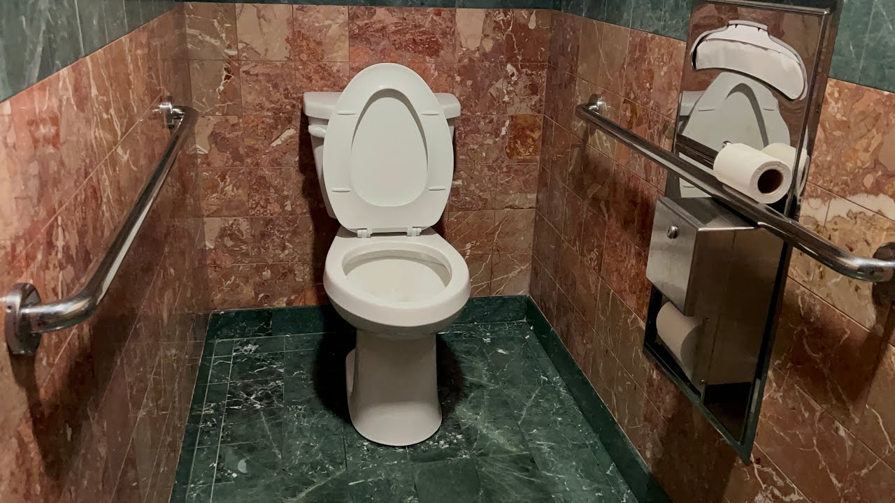 Zurn Urinal & 2020 Gerber Viper Flush Toilet | Capitol Modern Art ...
