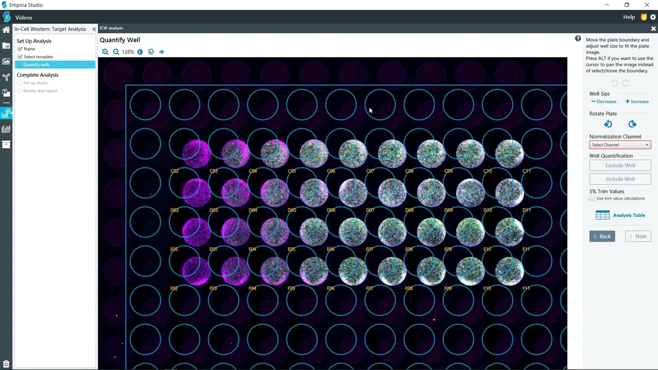 Empiria Studio® Software 2.0: In-Cell Western™ Assay Target Analysis ...