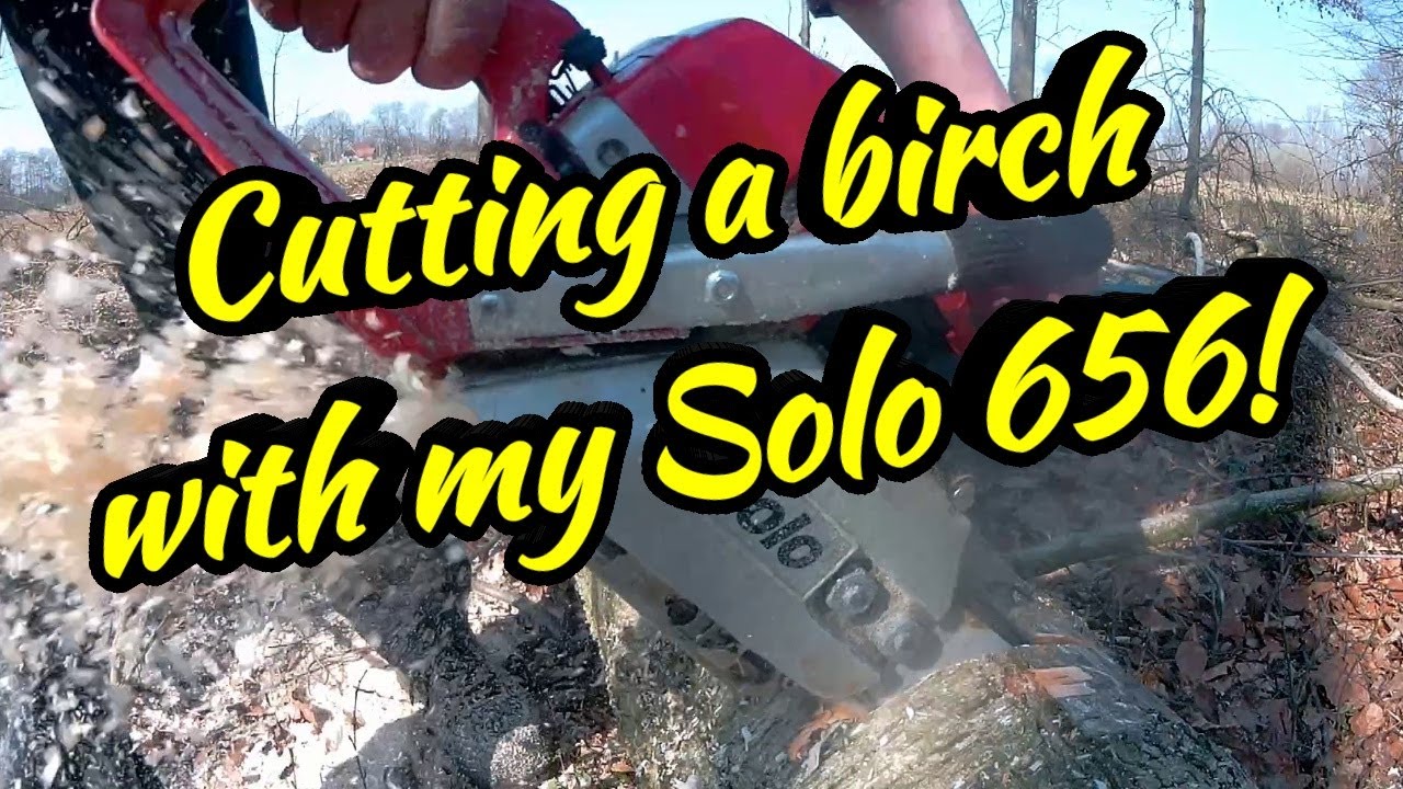 Cutting a birch with my Solo 656 with a 18"bar and a 325. Oregon 21LPX ...