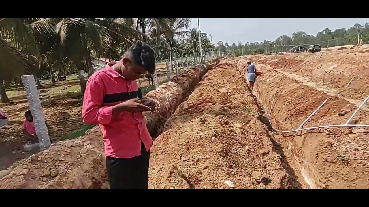 First coconut tree planted on 21 May 2023 - YouTube