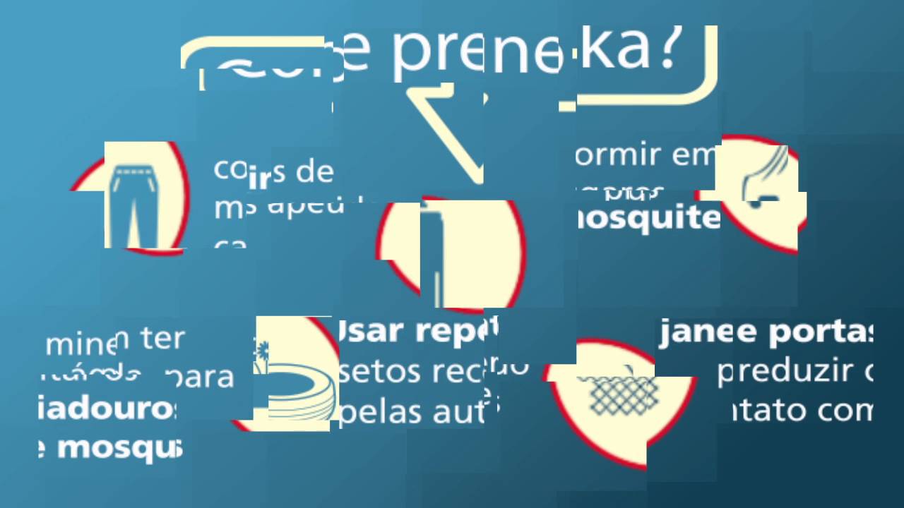 Infográfico animado sobre o vírus Zika - YouTube