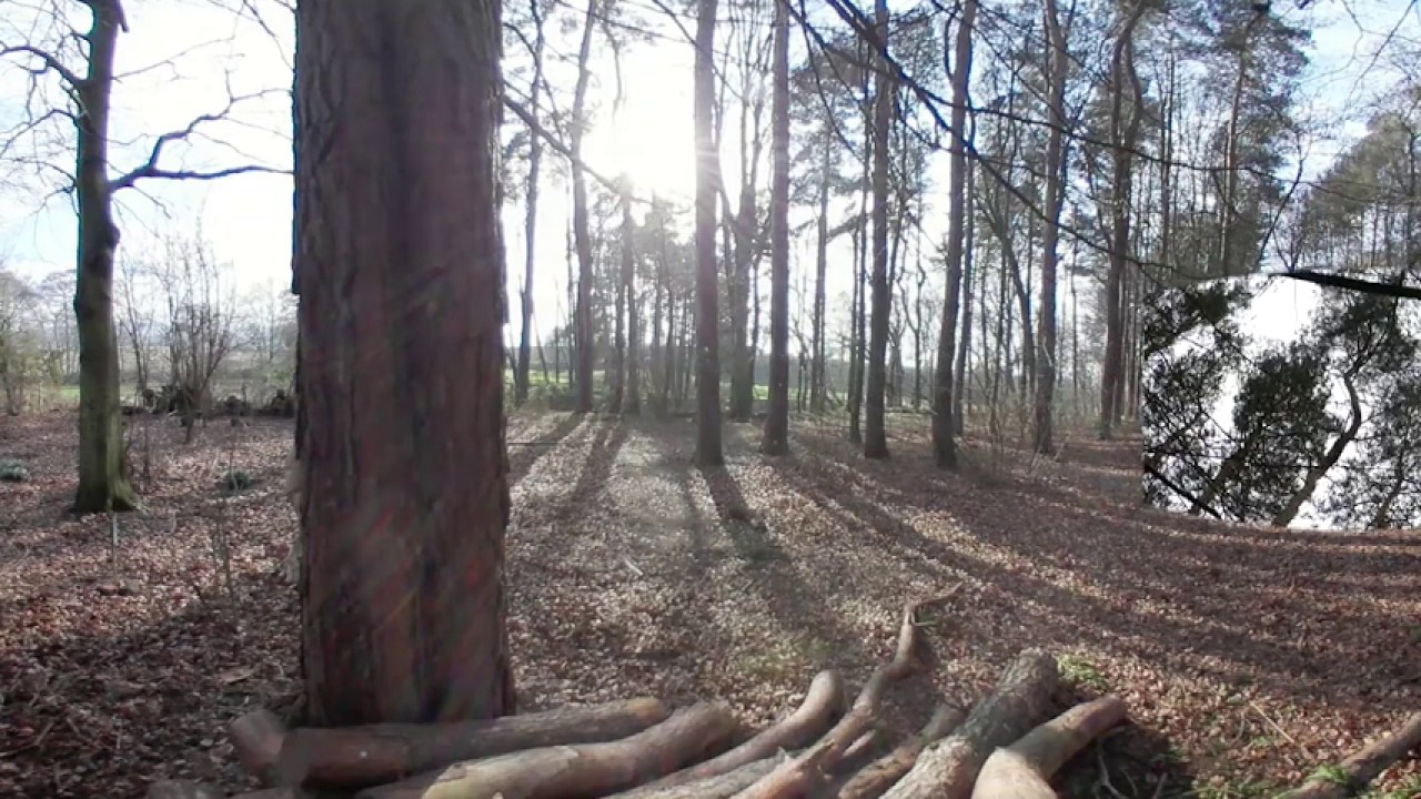 Introducing Quarrymill, a Scottish Woodland in Scone Perthshire. - YouTube