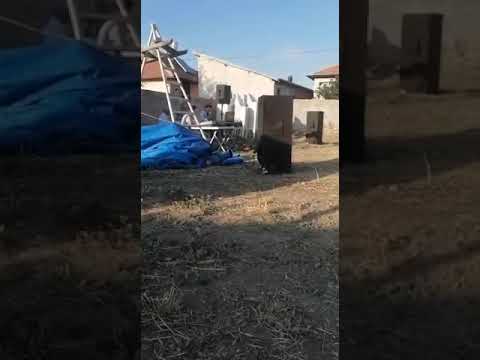Selçuk gündüz ben sanada yandım gelin