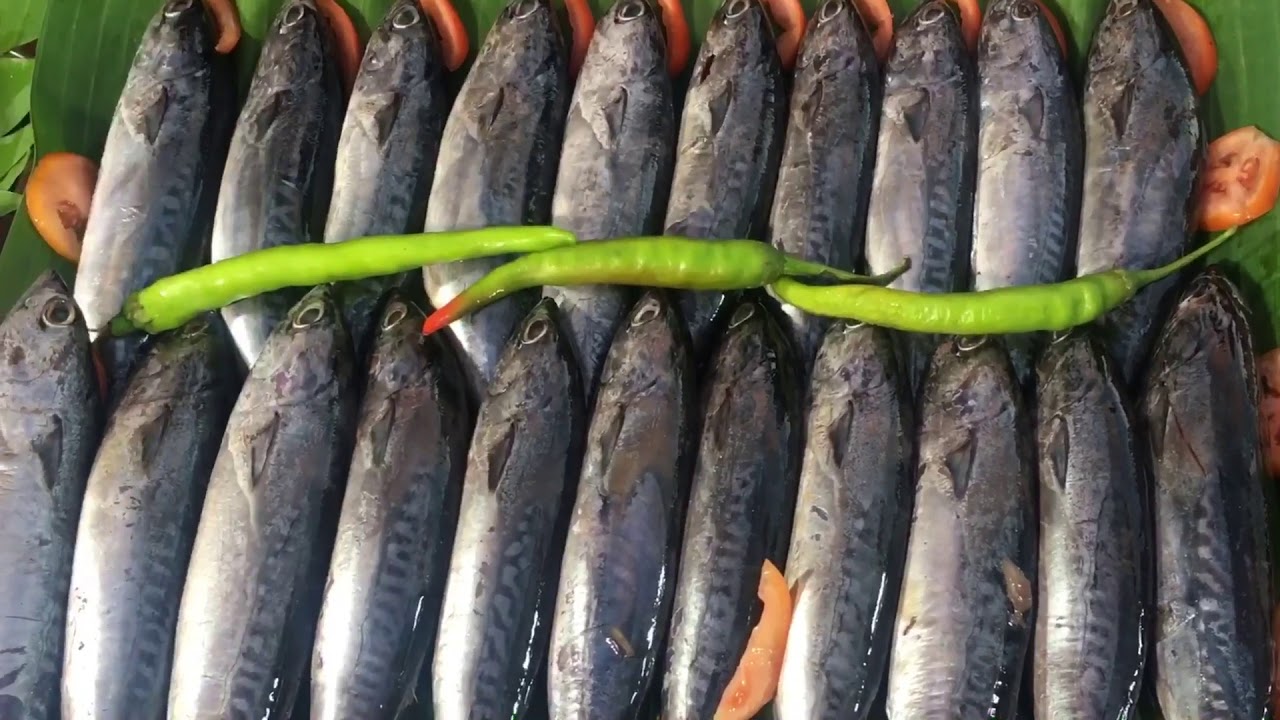 “SINAING NA TULINGAN” (Mackerel Tuna) - YouTube