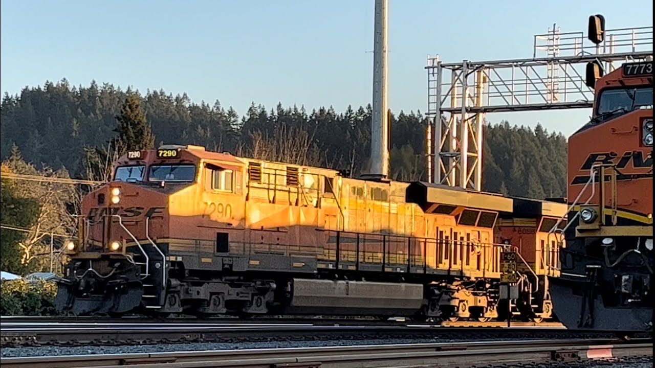 BNSF 7290 G-SLCTAC Loaded Grain, Centralia Wa 11/12/2022 - YouTube
