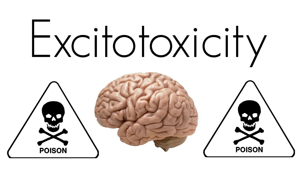 What is Excitotoxicity? - YouTube
