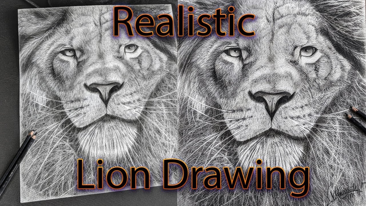 how to Draw Realistic Lion | Drawing Timelapse | Speed Drawing - YouTube