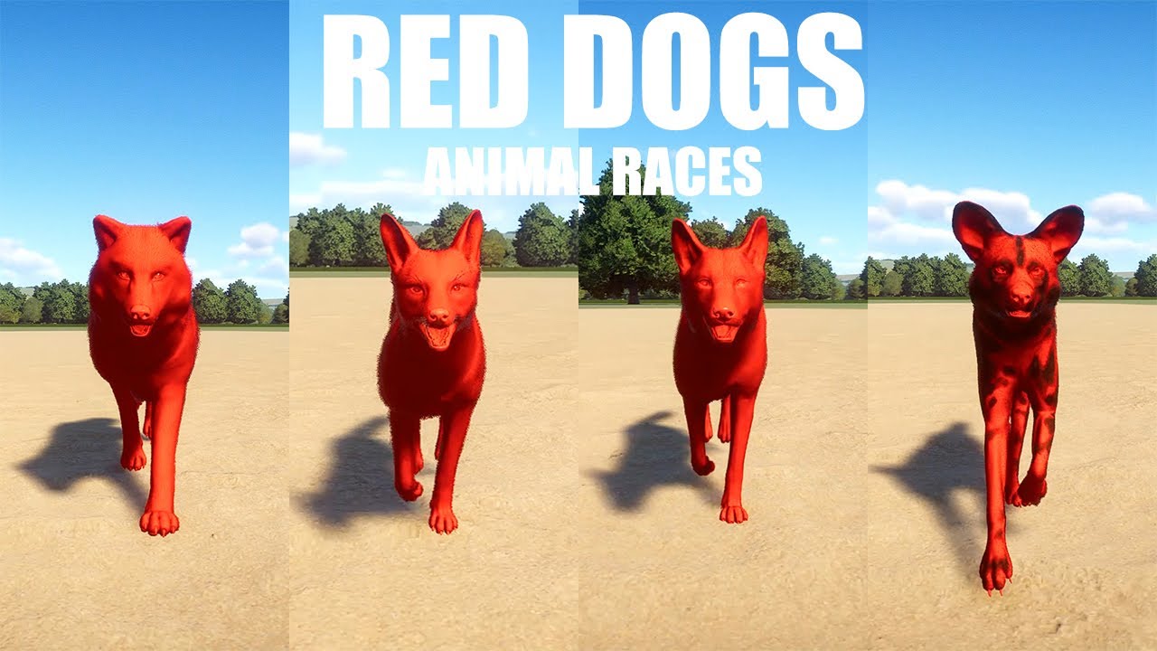 All Red Dogs Category Speed Races in Planet Zoo included Dhole, Arctic ...