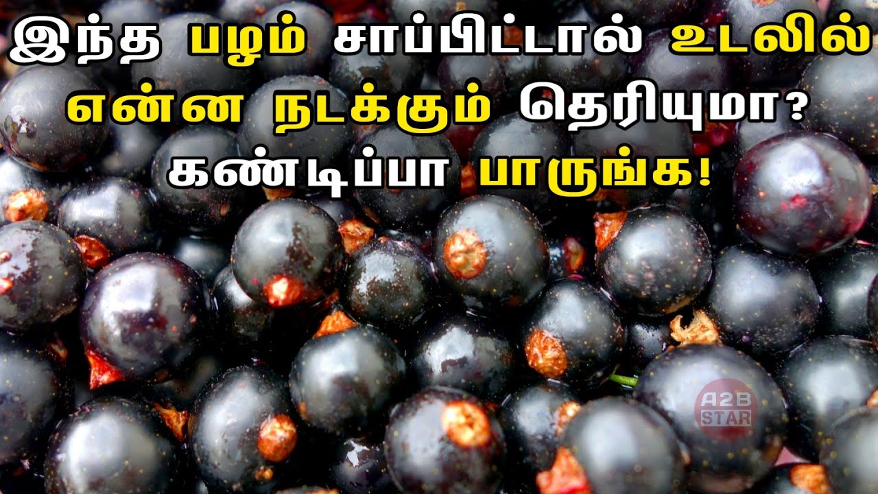 Health Tips Tamil | Fruits Benifits in Tamil | Jamun Fruits Benefits ...