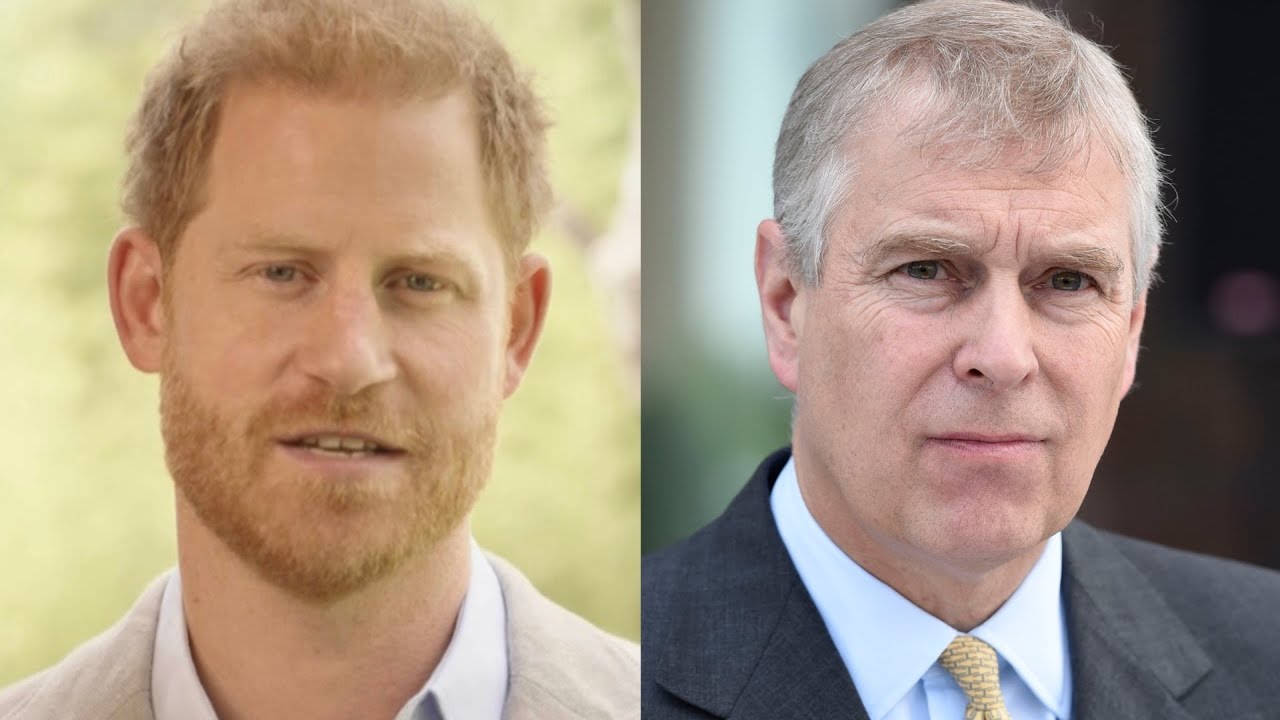 Author of Prince Andrew biography claims he ‘doubled down’ on his source for Prince Harry bash ...