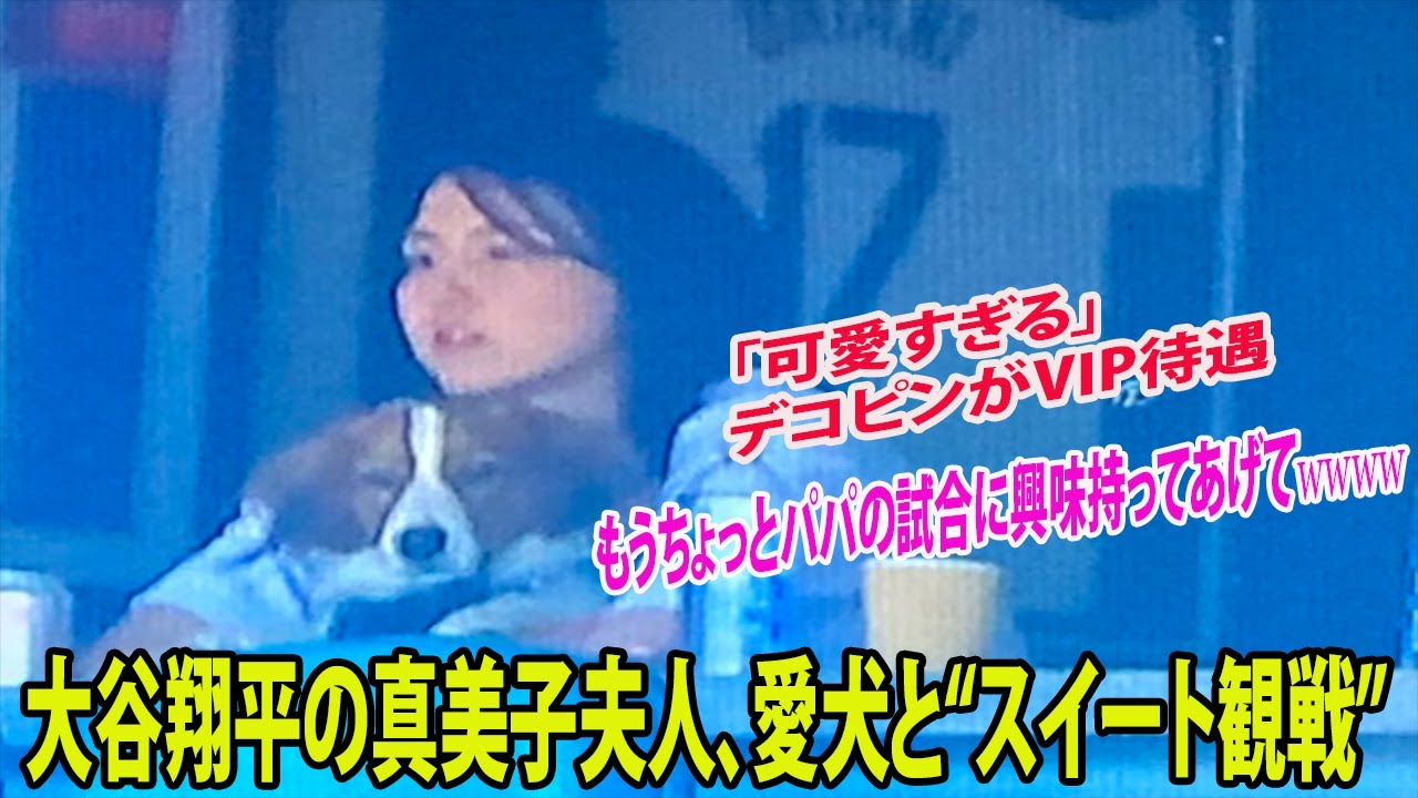 【動画】「可愛すぎる」本拠地デビューでデコピンがvip待遇 大谷翔平の真美子夫人、愛犬と“スイート観戦”にネットほっこり「癒される」もうちょっとパパの試合に興味持ってあげて🤣🤣🤣 Youtube