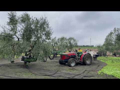 Telescopic Sicma TF80 trunk shaker