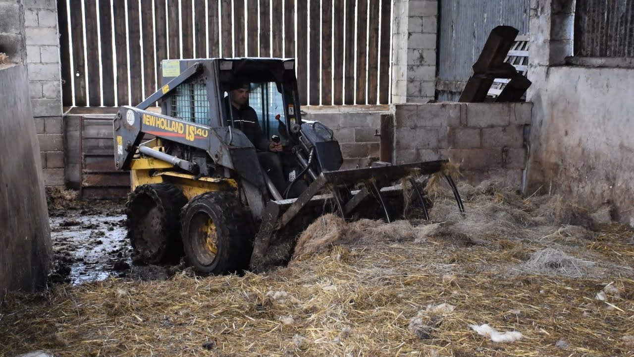 Farming life episode 92: bobcat on the farm - YouTube