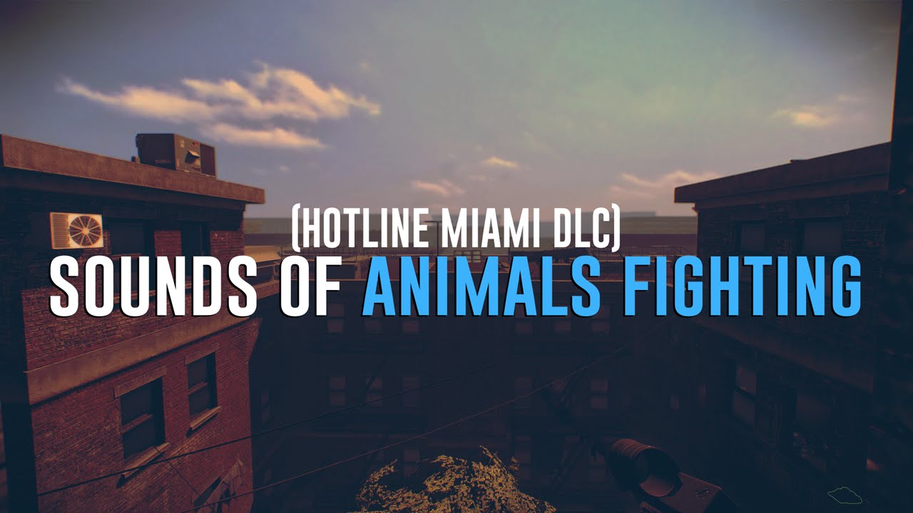 Sounds of Animals Fighting Achievement (Payday 2) - YouTube