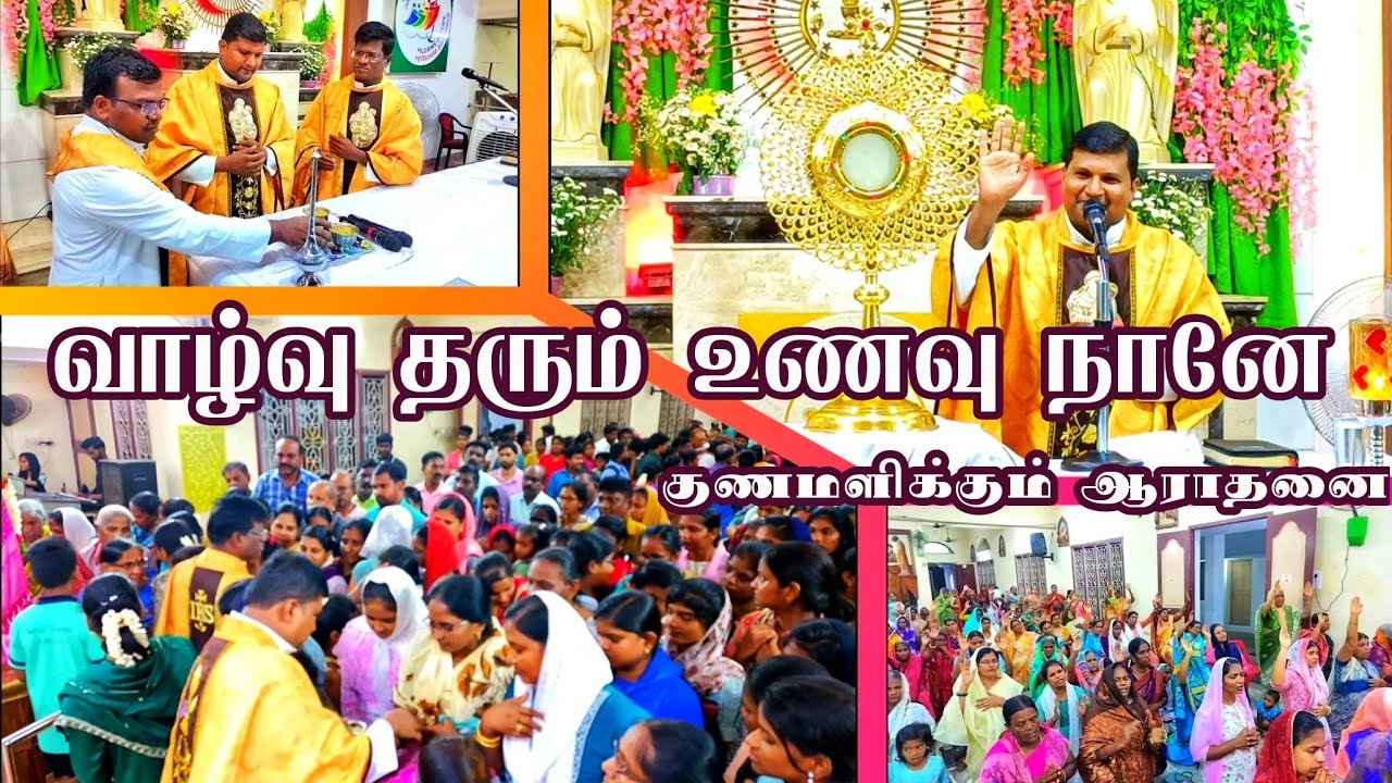 வாழ்வு தரும் உணவு நானே|adoration Rev Fr. Reagan - YouTube