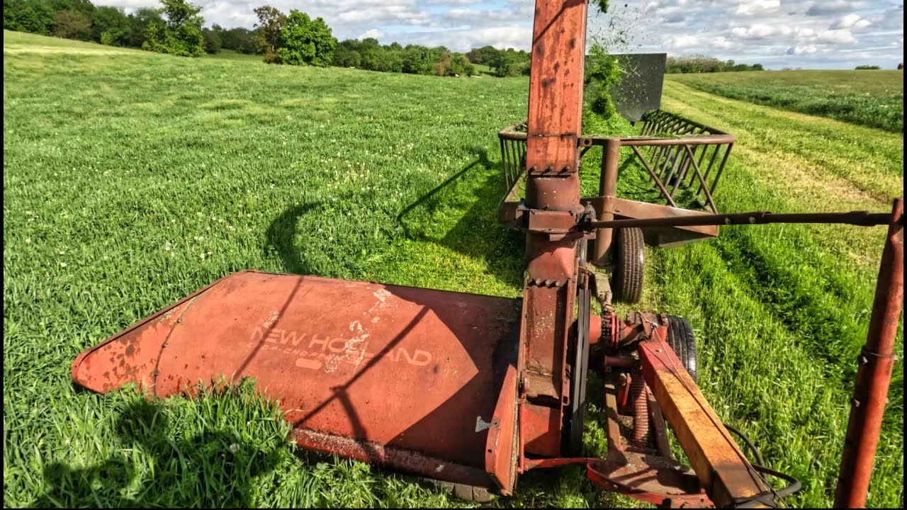 Chopping alfalfa for the cows! | May 2022 - YouTube