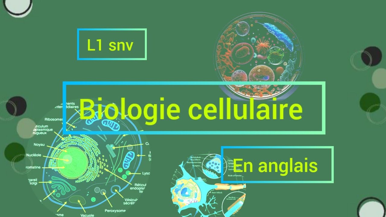 biologie cellulaire chapitre 01 (بالانجليزيه)🧬🔬 partie 02 L1 biologie ...