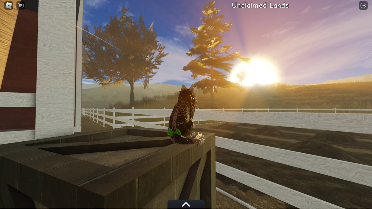 Animating (this better work XD) - YouTube