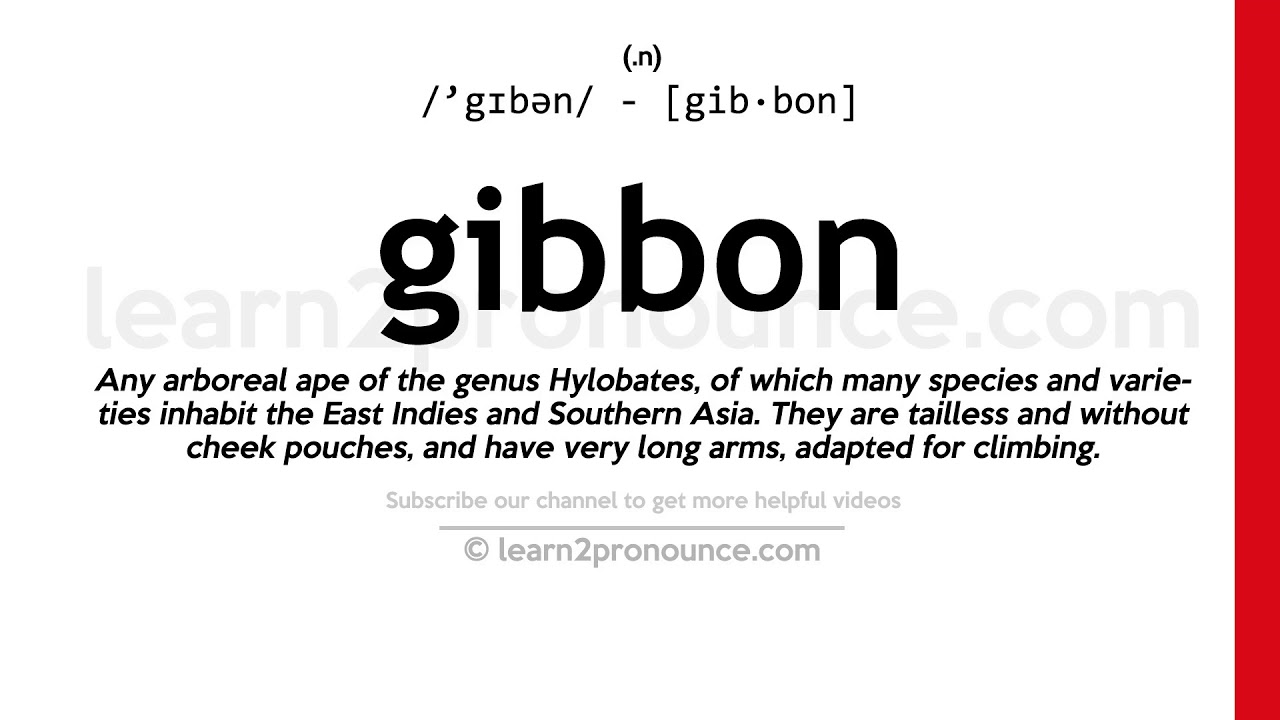Pronunciation of Gibbon | Definition of Gibbon - YouTube