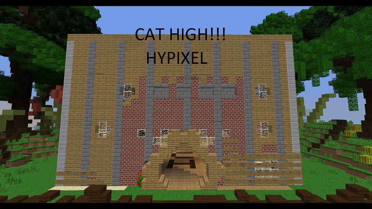 Minecraft Hypixel Housing Cat High!! - YouTube