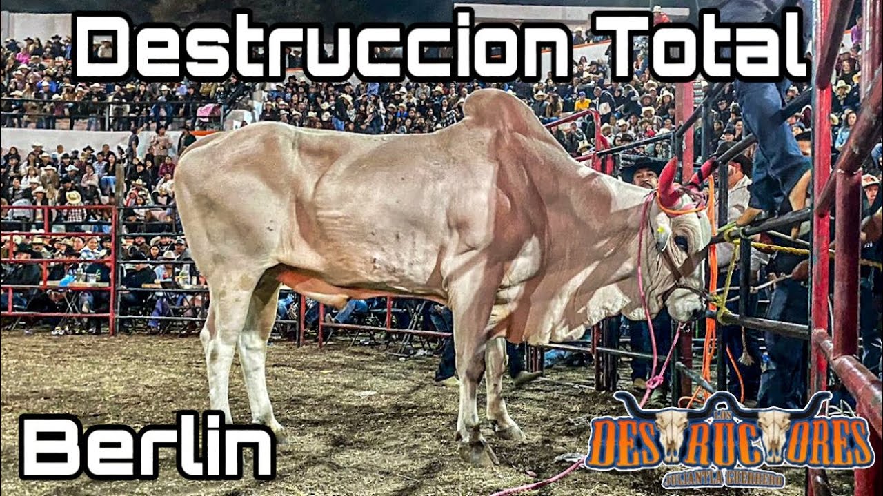 LLEGO EL BERLIN ! Y Los Destructores a La Escondida de Charo 2025 - YouTube