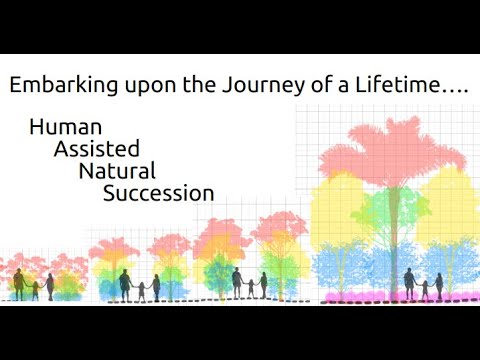 Syntropic Design and Consortium Planning. Part 2 of 3 in our Syntropic ...