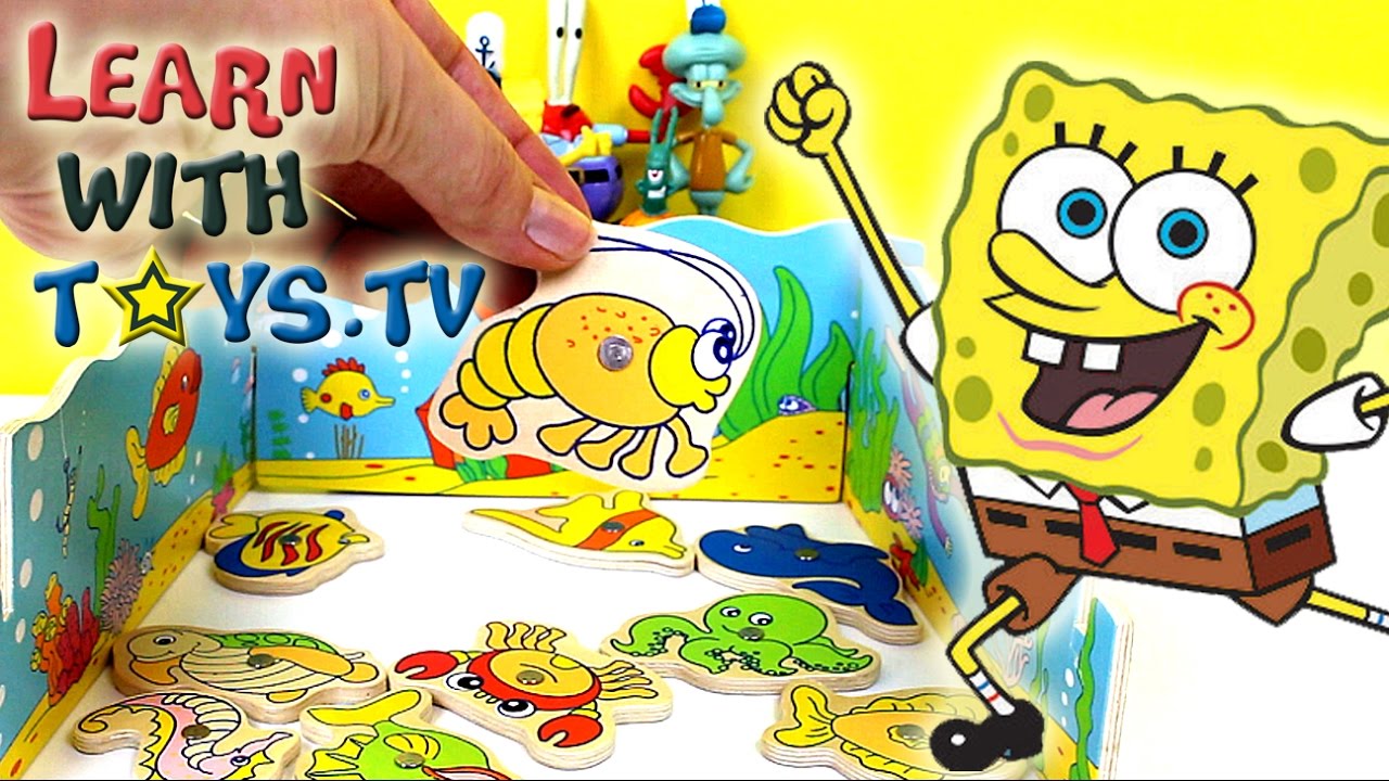 Spongebob Squarepants Learn Sea Animals Spongebob - YouTube