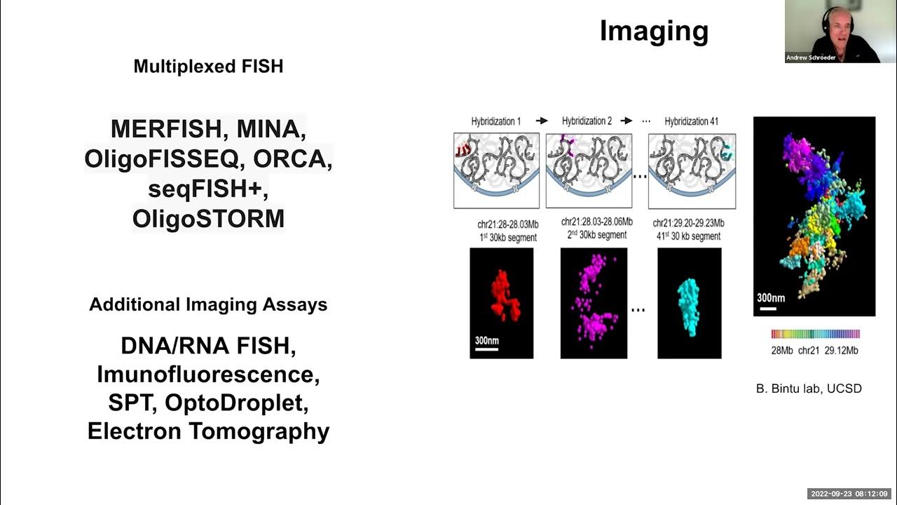 The 4DN Data Portal - YouTube
