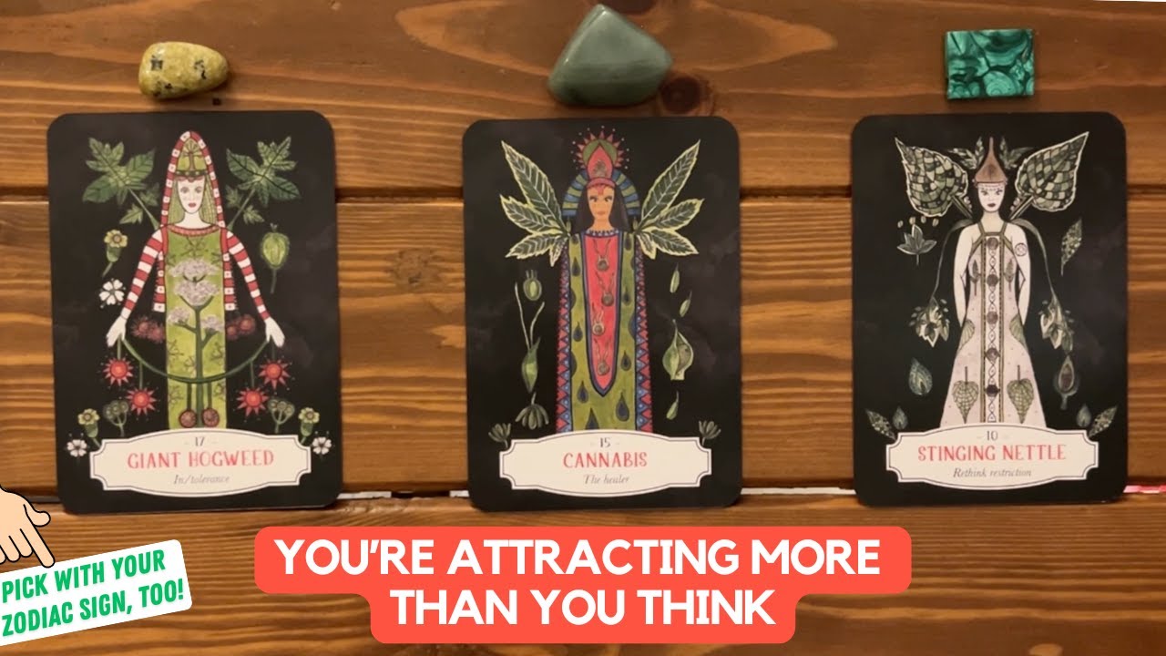 What's Your Current Vibration Attracting? | Timeless Reading - YouTube