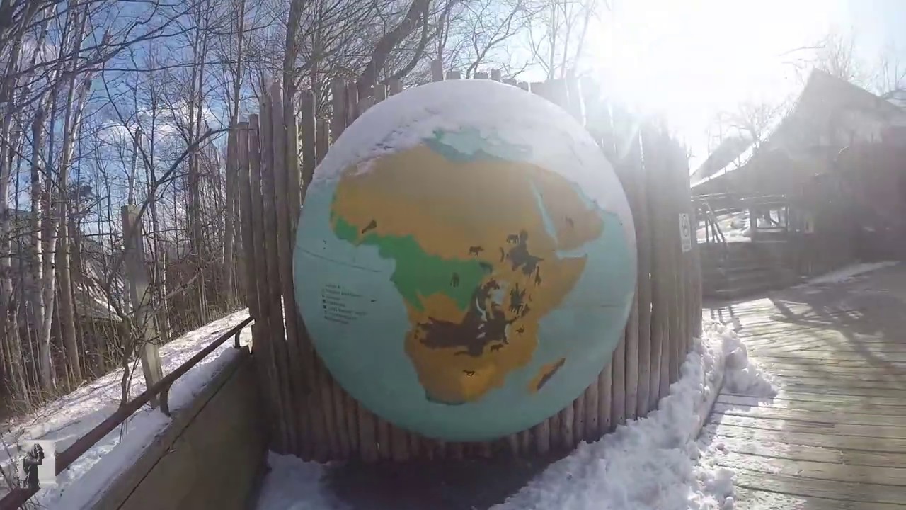 African Safari | Toronto Zoo | Part-3 - YouTube