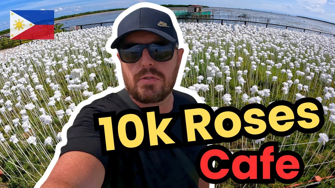 10,000 Roses Cordova Cebu: Definitely Come To This Place At Night ...