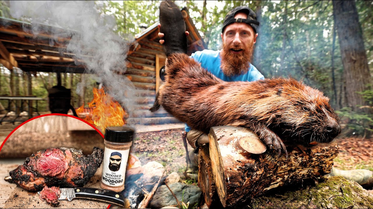 Caveman Cooking 70 lb Wild Canadian Beaver! (Start-to-Finish - ASMR ...