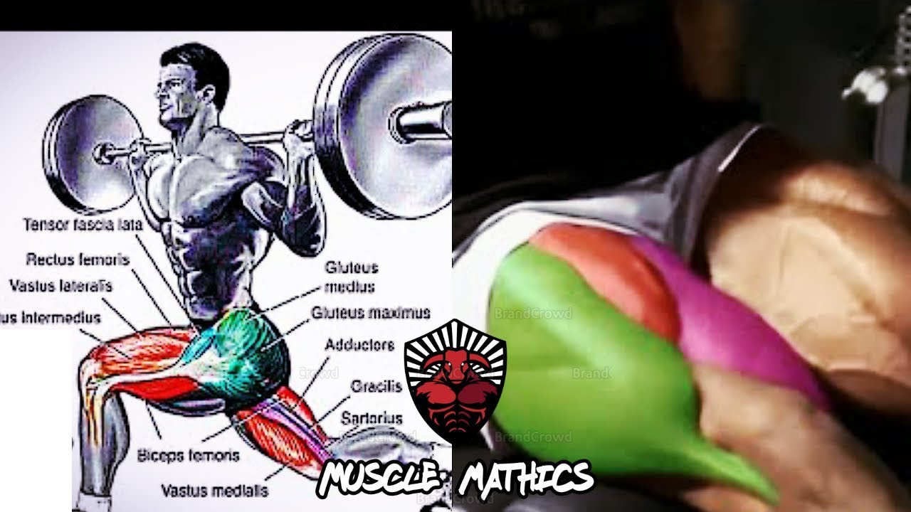 8 Best Leg Exercises For Bodybuilders - YouTube