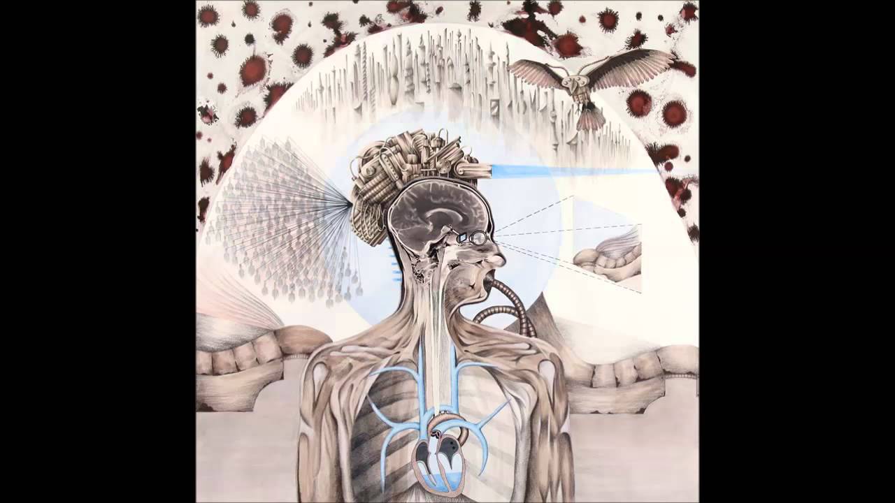 Dan Wallace - 27 - YouTube Music