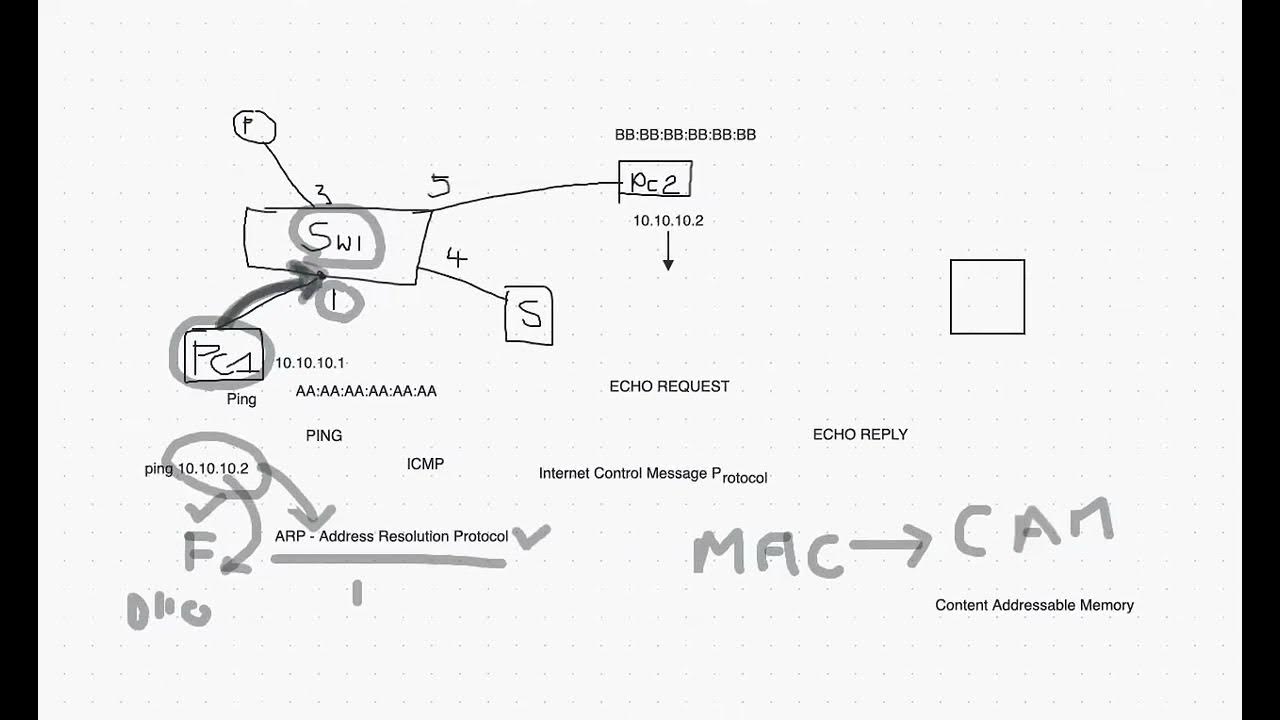 Switching Fundamentals-CCNA Training - May 3 2023 - YouTube