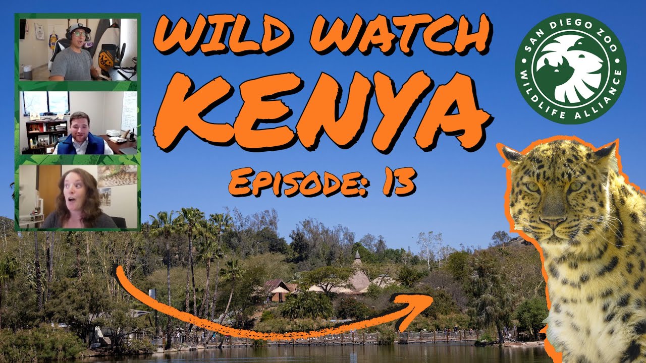 Wildwatch with Us: Ep. 13 - YouTube