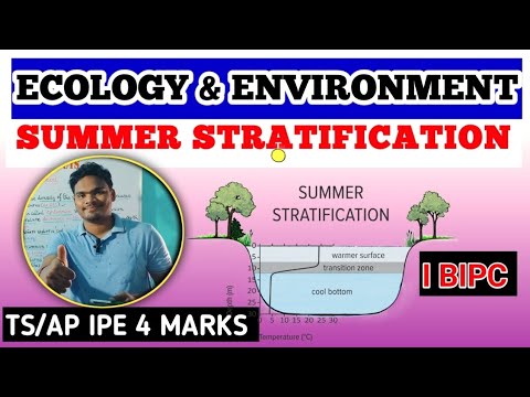 Summer stratification,stratification for l BIPC by @SAGAR12695 - YouTube