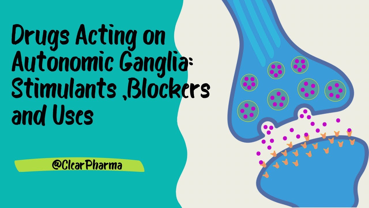 Autonomic Ganglia Stimulants and Blockers: Understanding Receptors ...