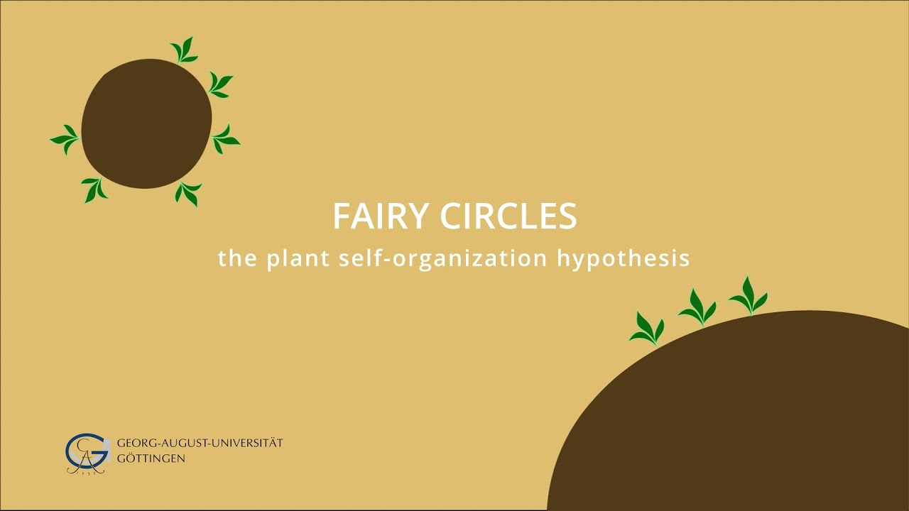 FAIRY CIRCLES (explanation video) - YouTube