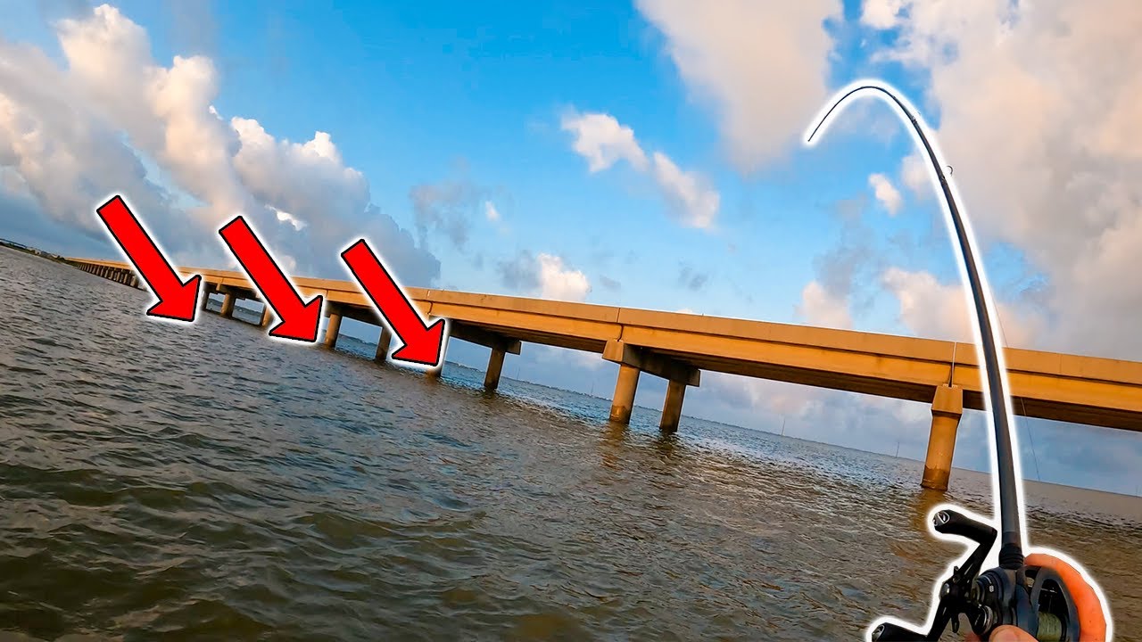 This Bridge was Holdiing Multiple BIG Fish - YouTube