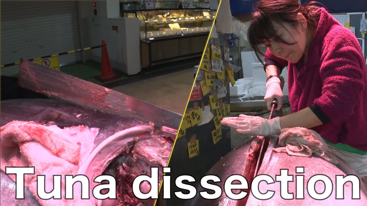 GIANT TUNA BREAKDOWN! Watch a 155kg Tuna Fully Filleted at Tsukiji by a ...