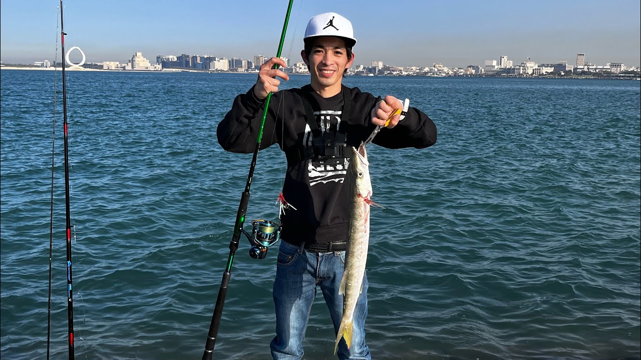 Baracuda strike in Doha corniche - YouTube